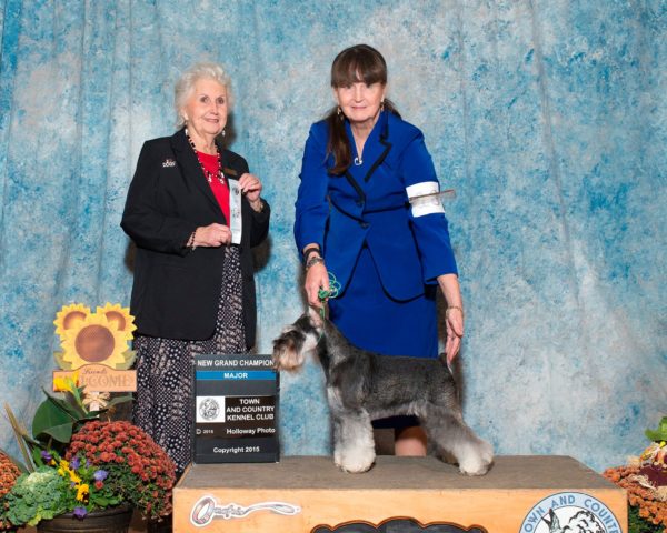 2020 Versatility Awards - The American Miniature Schnauzer Club