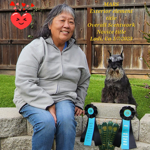 2023 Versatility Awards - The American Miniature Schnauzer Club