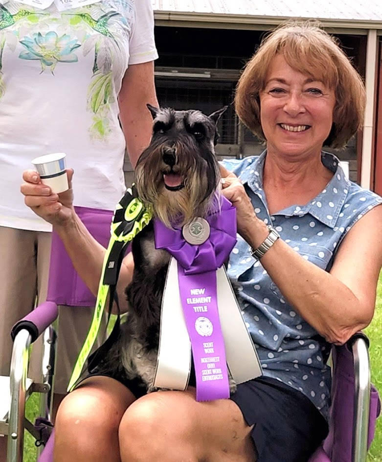 2023 Versatility Awards - The American Miniature Schnauzer Club