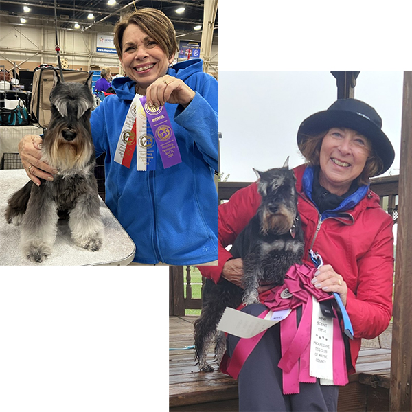 2024 Versatility Awards - The American Miniature Schnauzer Club
